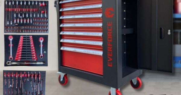 Професионален шкаф с инструменти EVERFORCE 251 части
